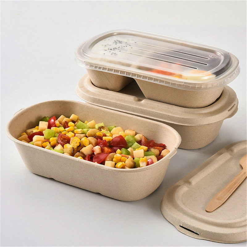 Bagasse Products Bagasse Products Products Bagasse Products